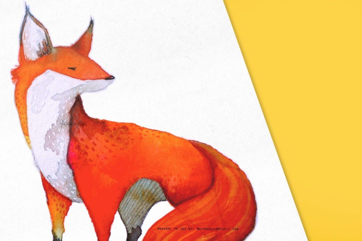 Watercolor Misfit Watercolor Tips And Tidbits To Inspire Your Creativity